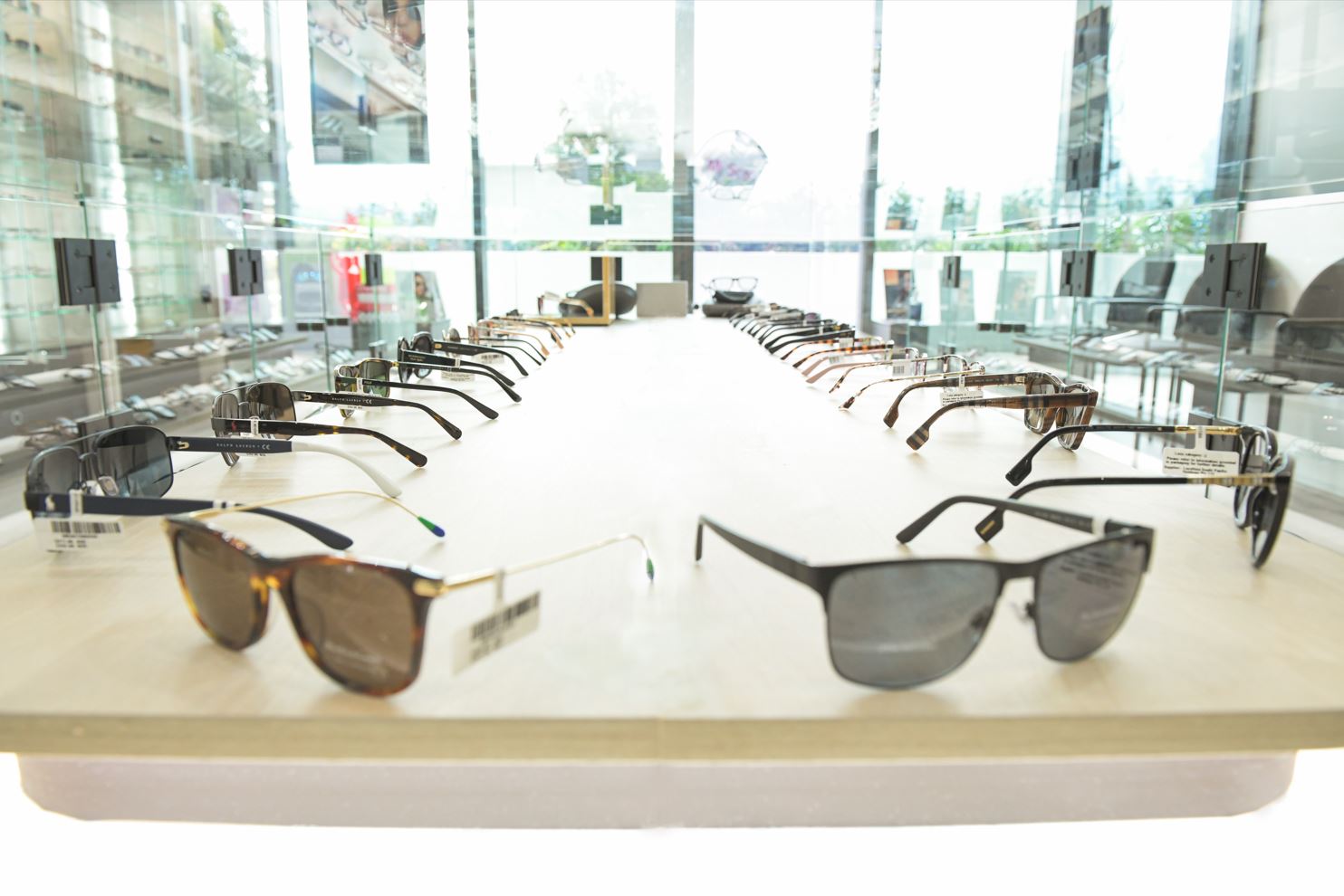 Buy Optical Glasses and Contact lenses | Best Optical Frames